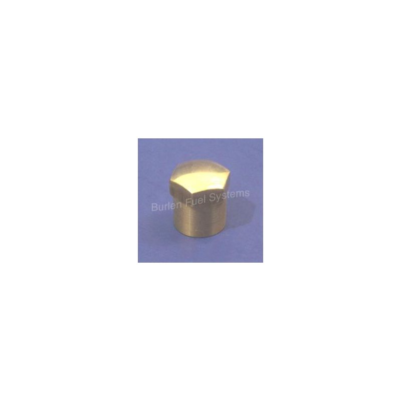 Shop our Jet Cap Nut | AUC 3160 | SU Carburetters